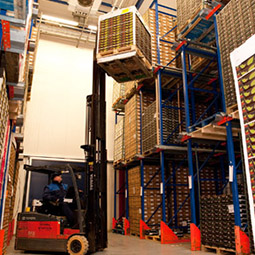 Optimale koelfaciliteiten | Cool Control