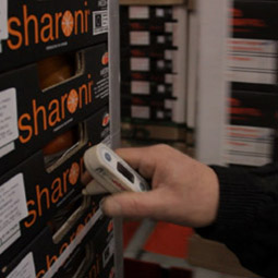 Optimale koelfaciliteiten | Cool Control