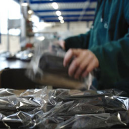 Optimale koelfaciliteiten | Cool Control